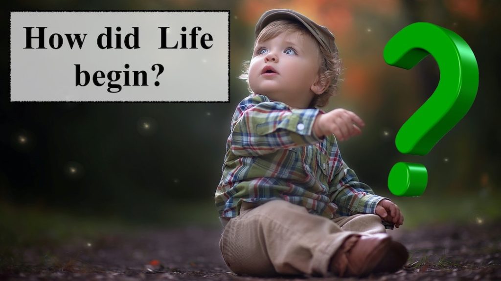 How Did Life Begin?